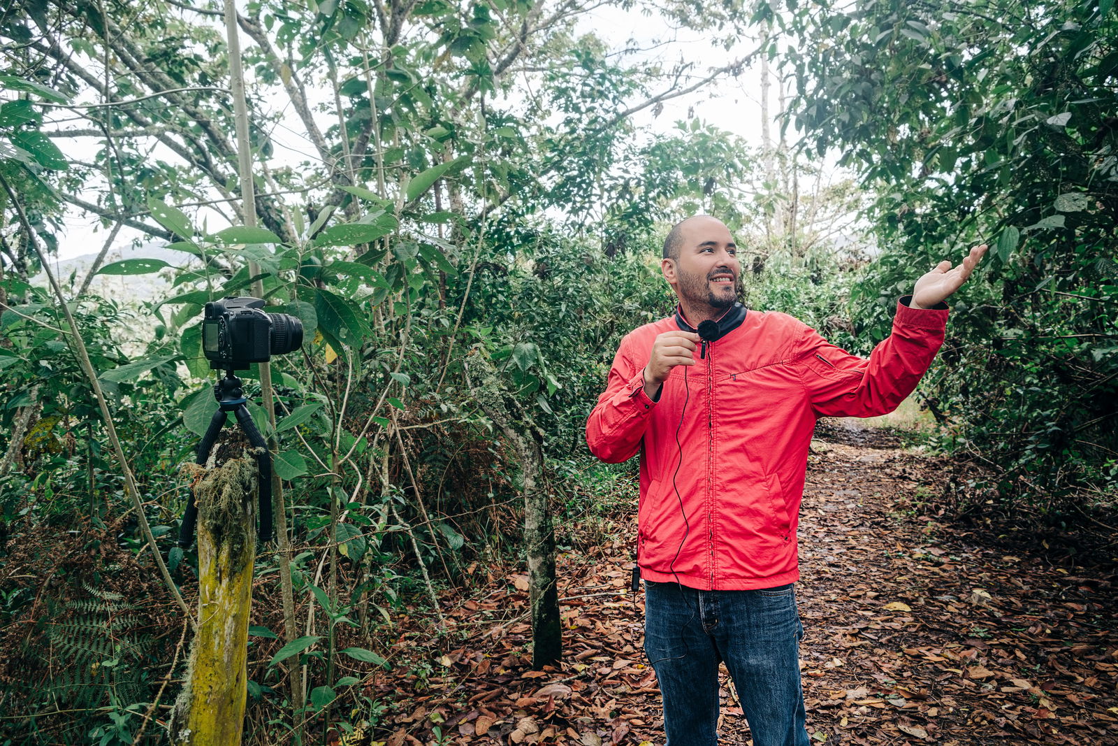 The Art of Short-Form Video Storytelling: Techniques for Impactful 15 ...